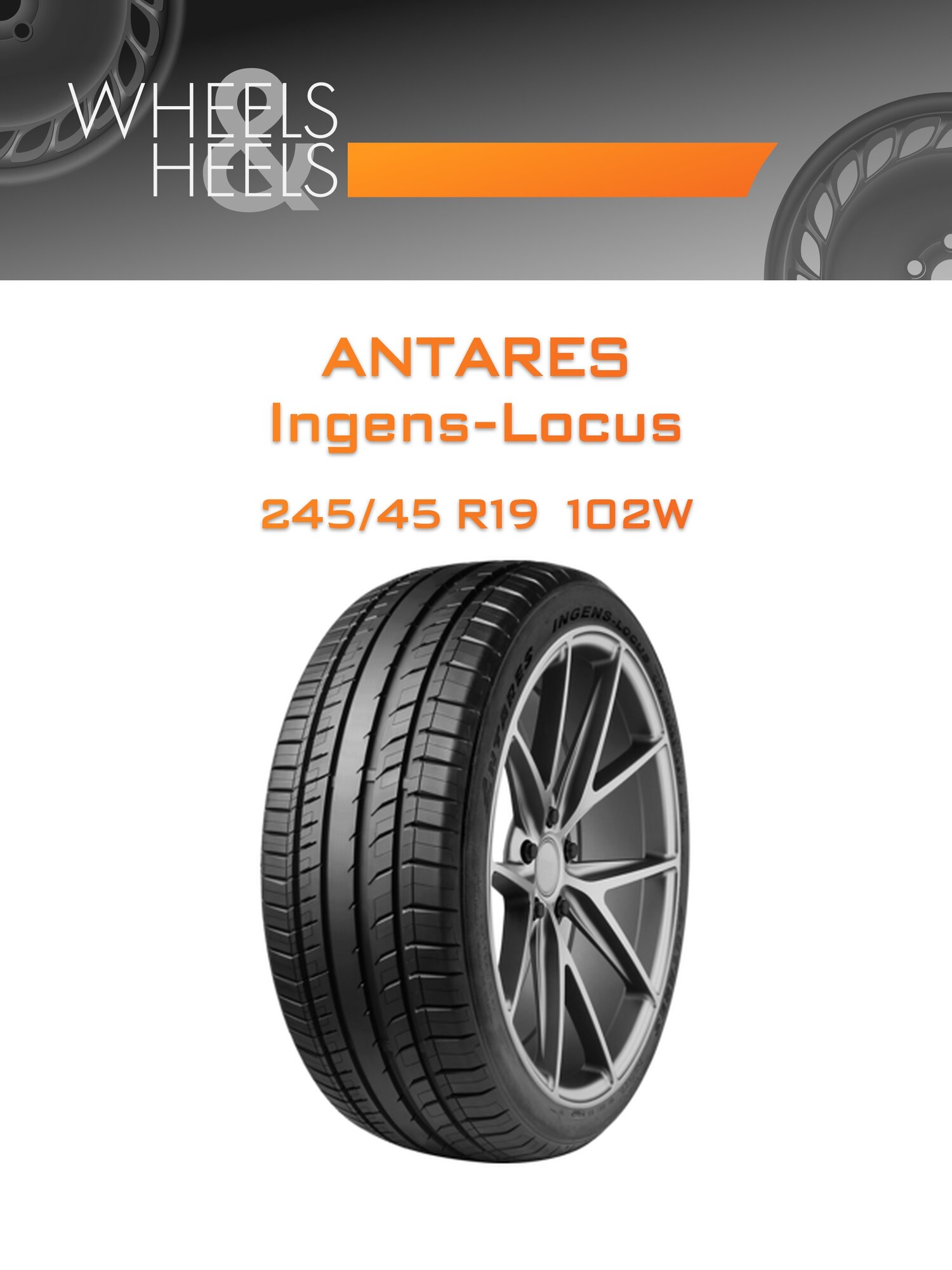 Шина автомобильная Antares Ingens-Locus 245/45 R19 102W SUMMER RF, летняя, универсальная