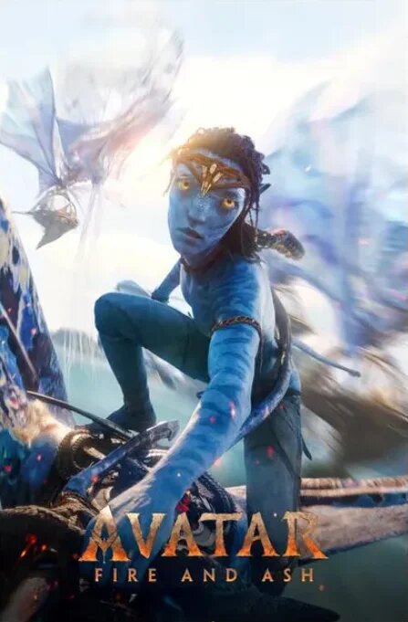 Постеры Avatar Fire Full Series на холсте Bandai PF73692, 20x30cm No Frame