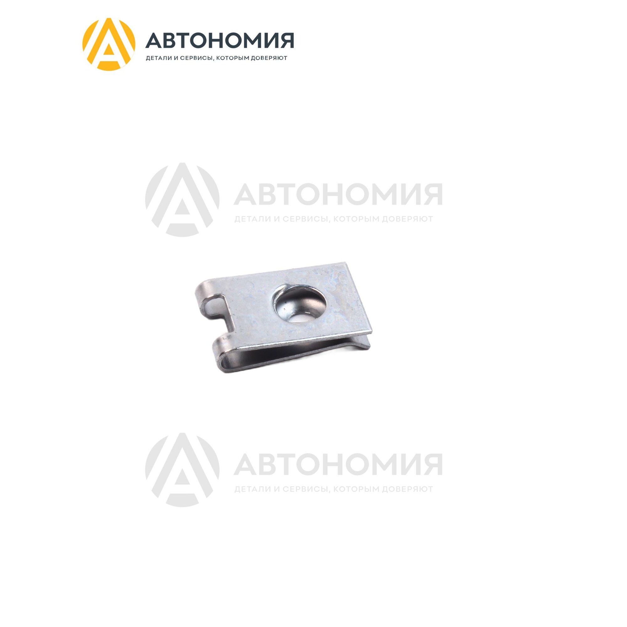 Клипса T1A, T18, T1E, M1DFL2, T1D Chery 602000895AA