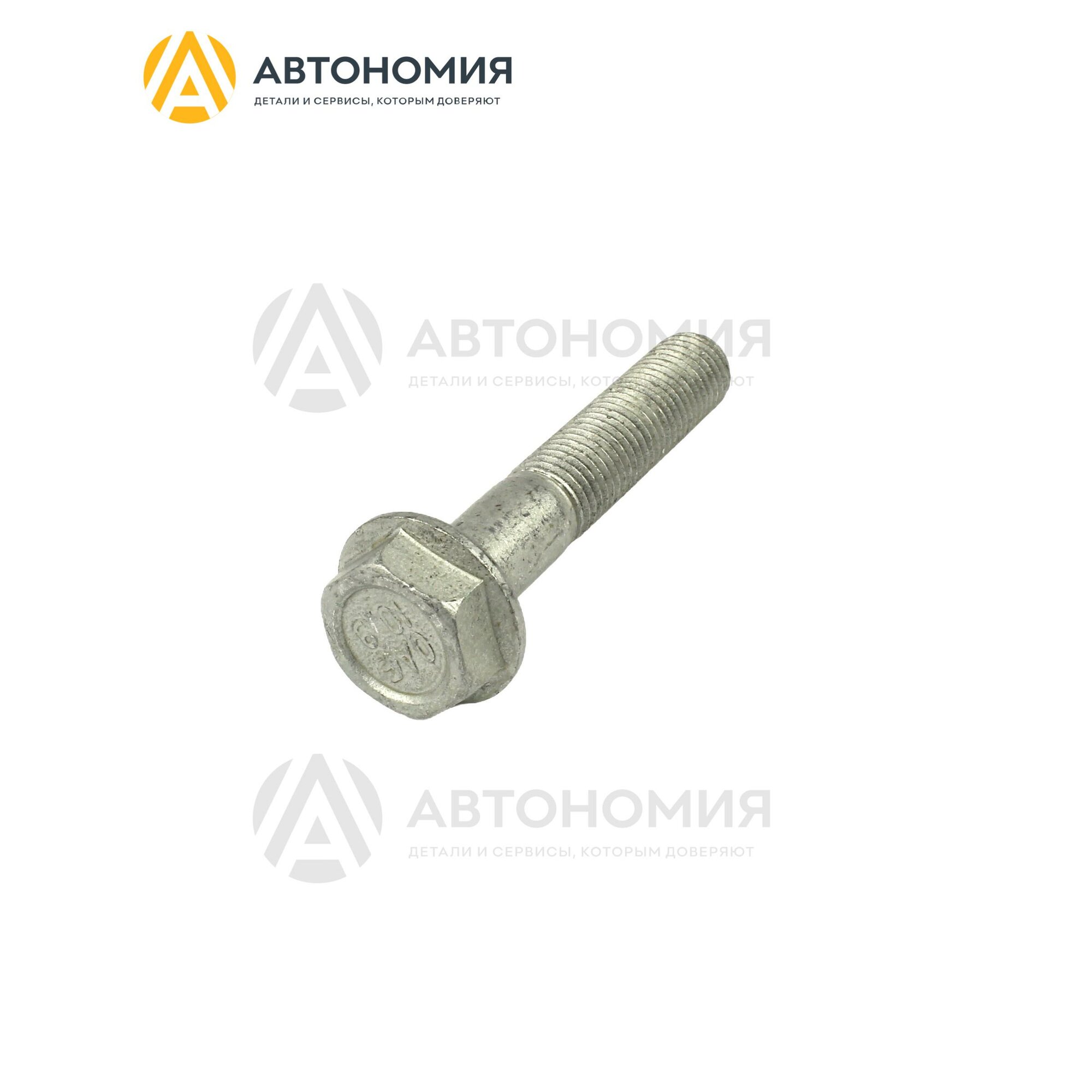 Болт тормозного суппорта заднего T1E Chery 204000960AA