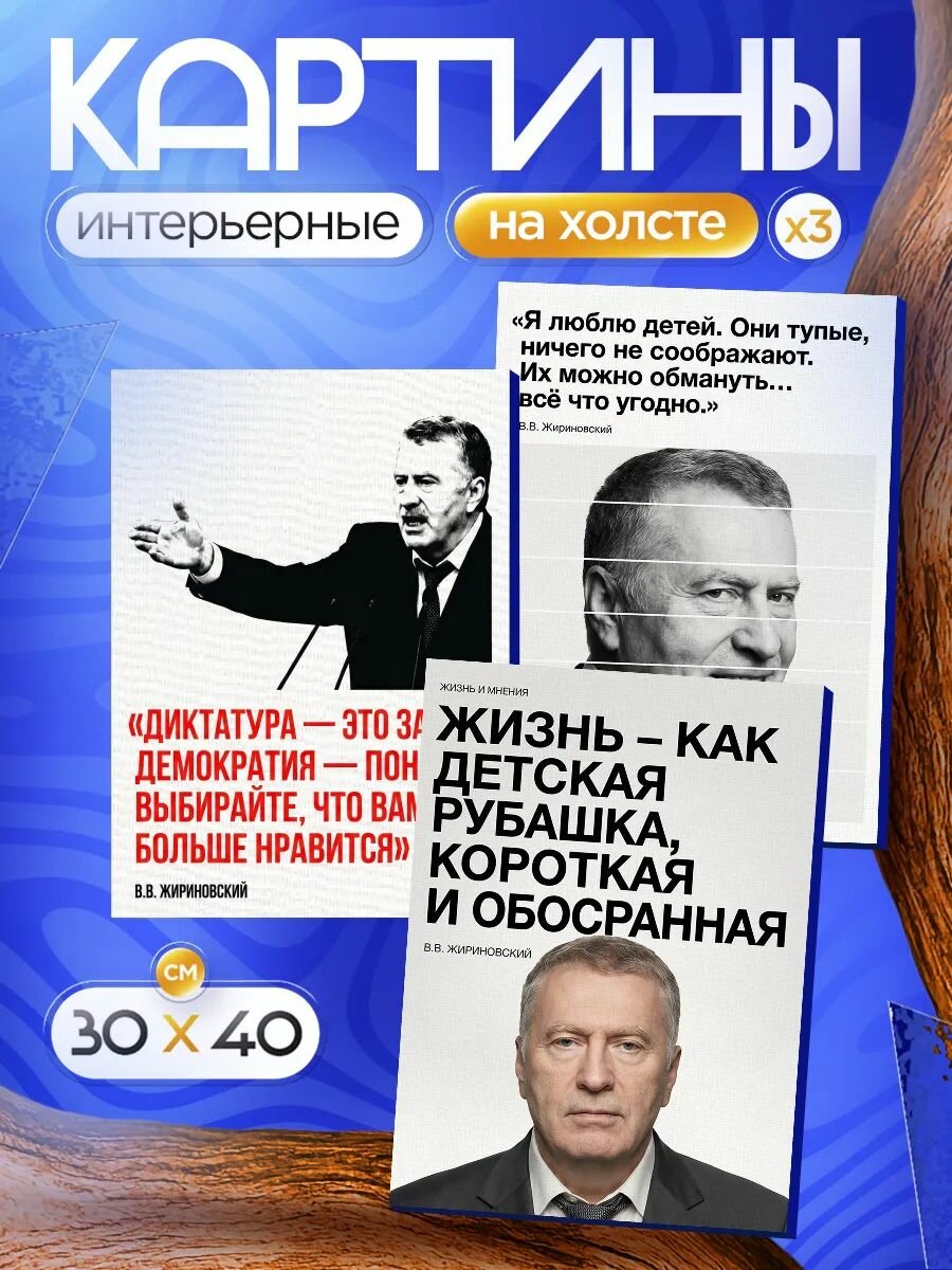 Набор из трех картин на стену 30х40 мем Жириновский Владимир