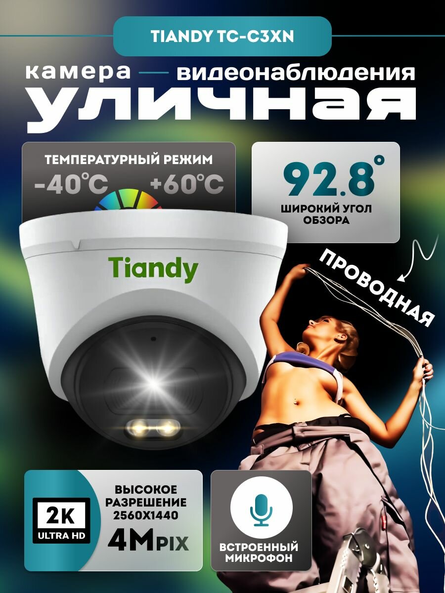 Tiandy TC-C34XN Камера видеонаблюдения IP купольная с микрофоном и питанием по PoE (4 МП)