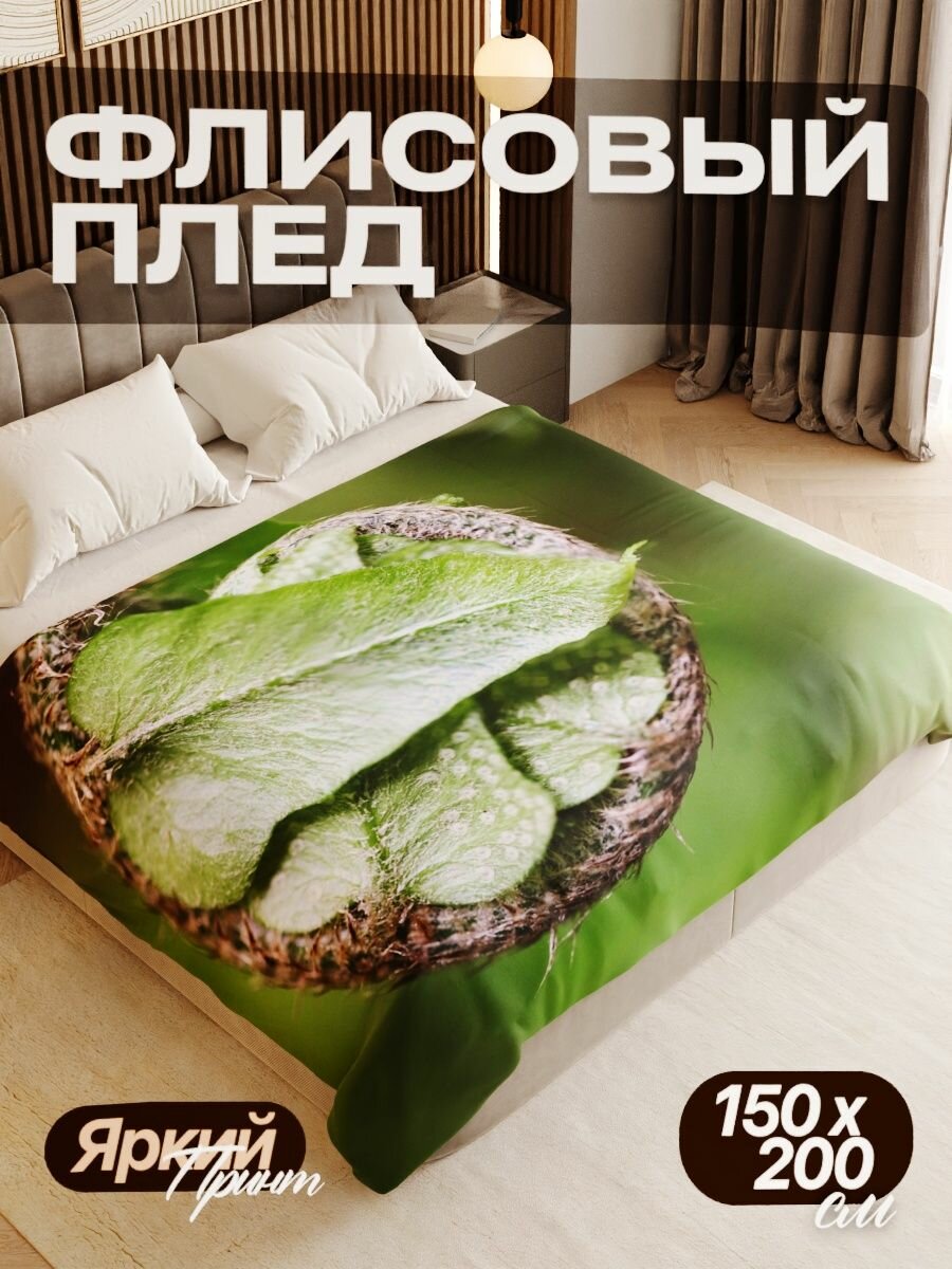 Плед флисовый 150х200 см мягкий теплый покрывало для дома