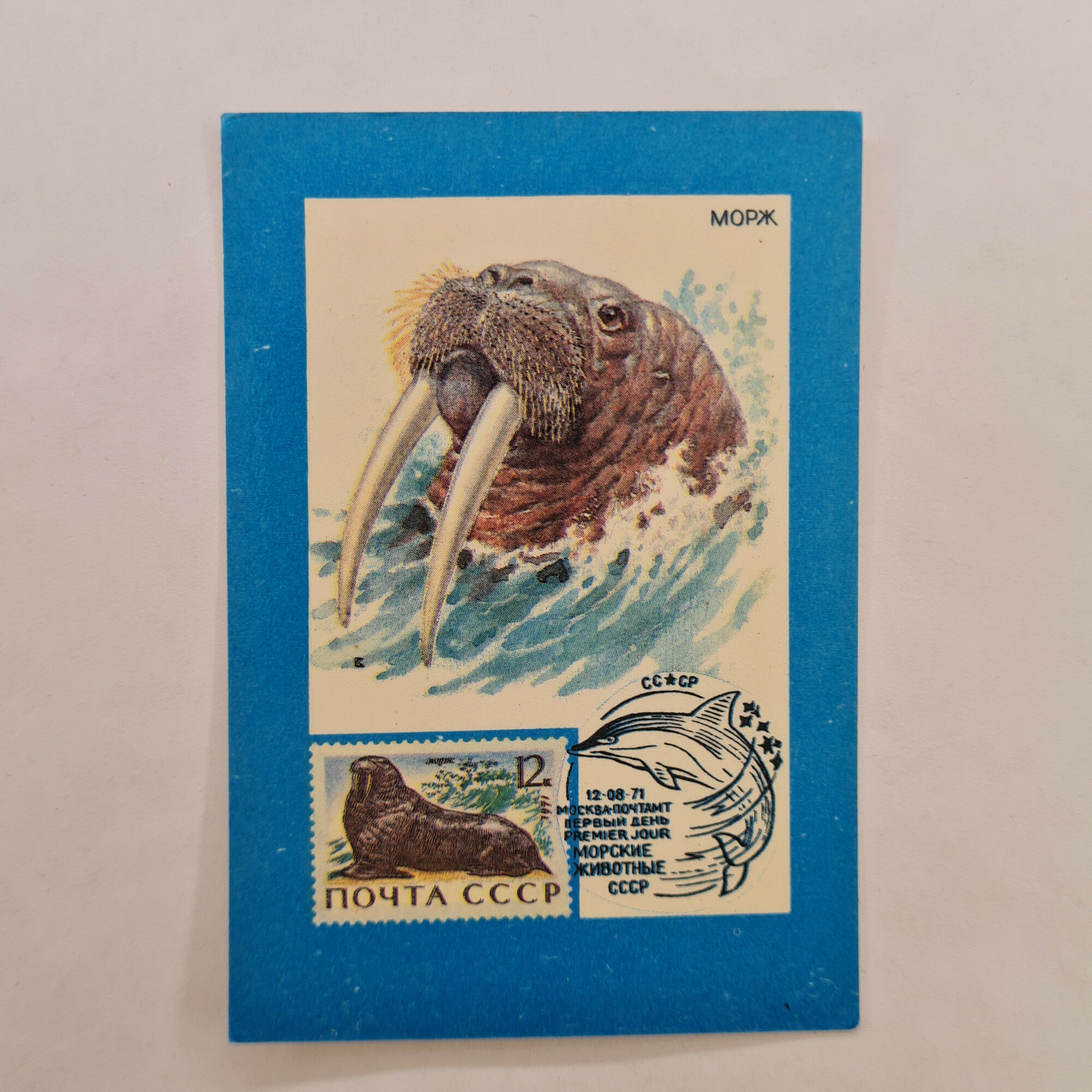 Карманный календарик СССР 1991. Морж, морские животные, почтовая марка. Советский календарь