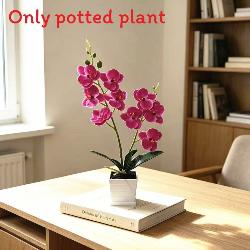 Butterfly orchid line art plant with lightweight plastic for home styling and event decoration stylea