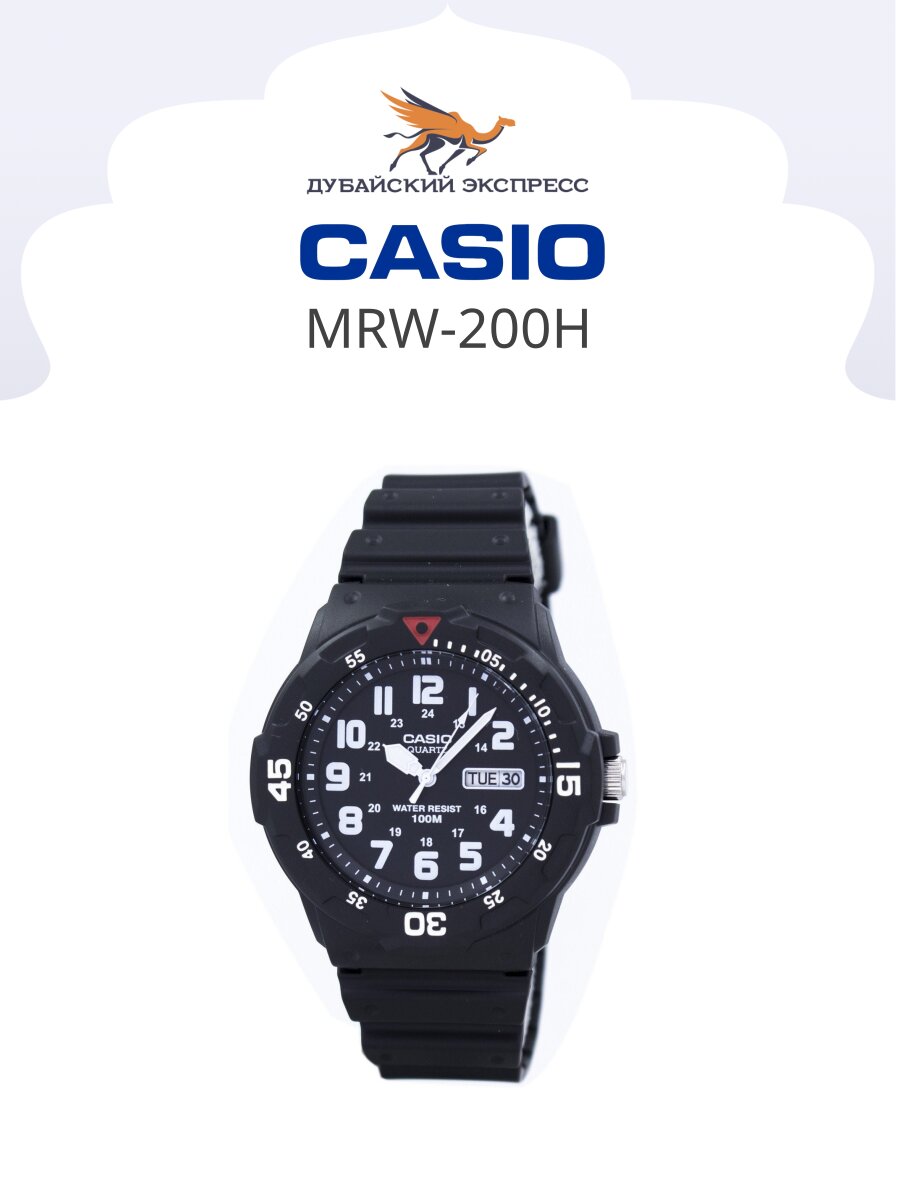  CASIO