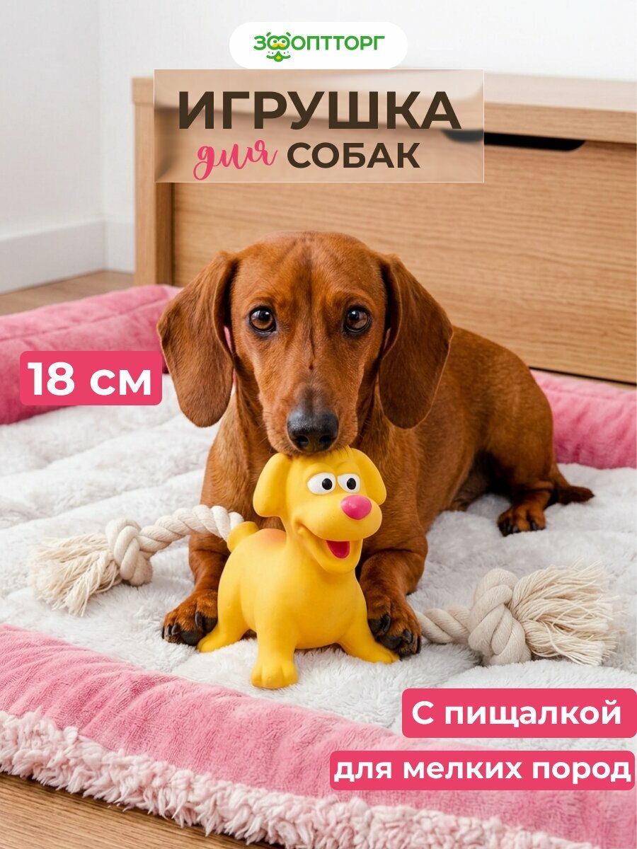 Triol Mini Dogs игрушка для собак мелких пород из латекса Собачка с веревкой 18 см.