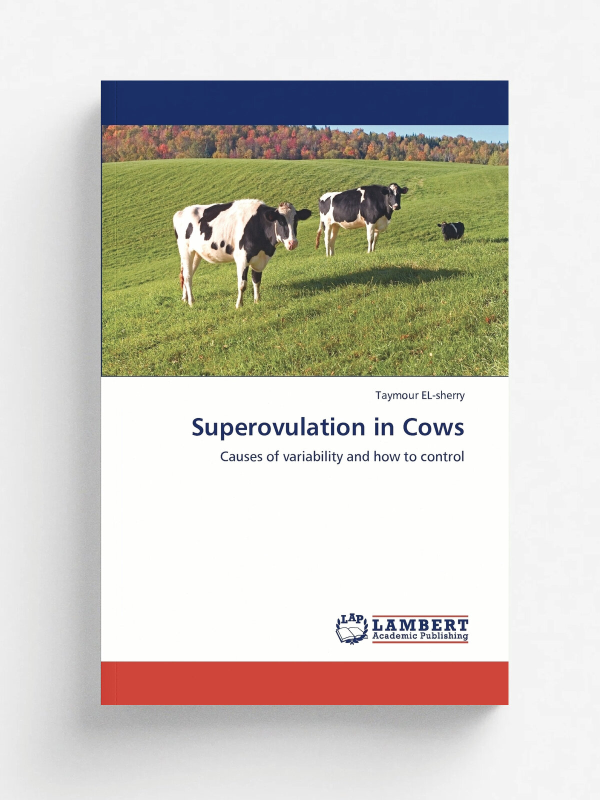 Superovulation in Cows