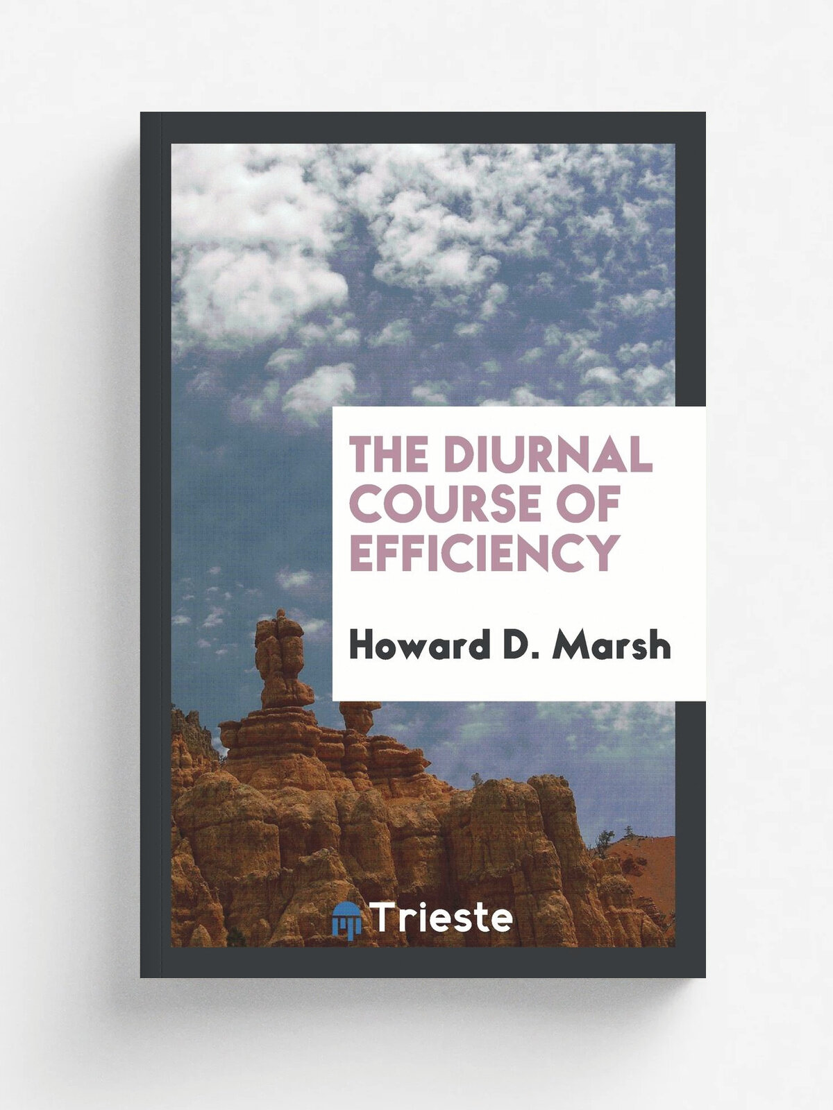 The Diurnal Course of Efficiency