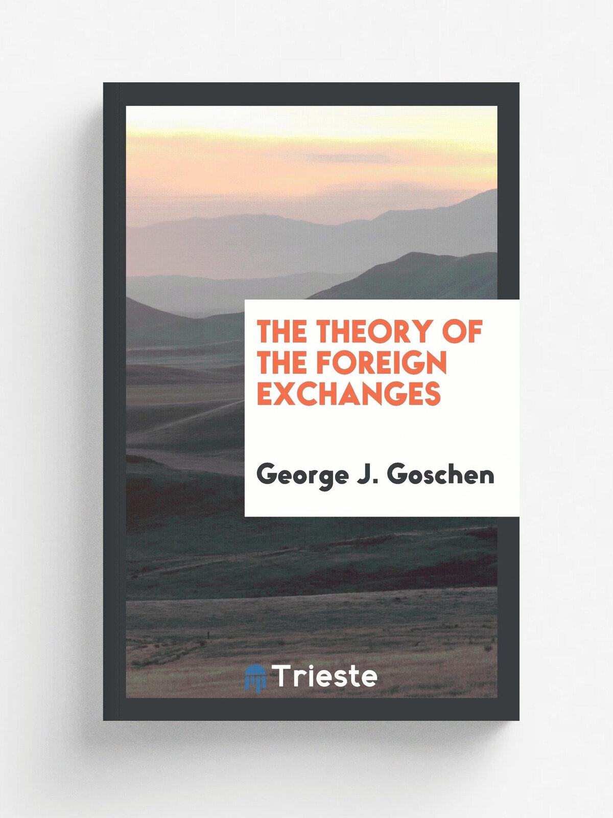 The theory of the foreign exchanges