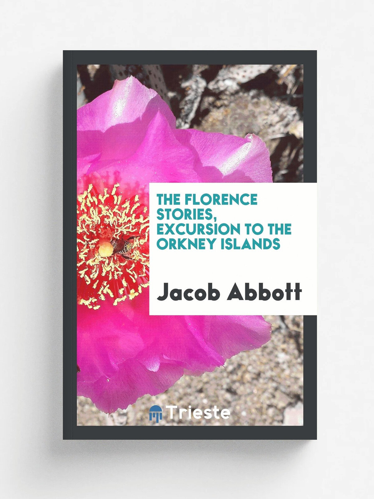 The Florence stories, Excursion to the Orkney Islands