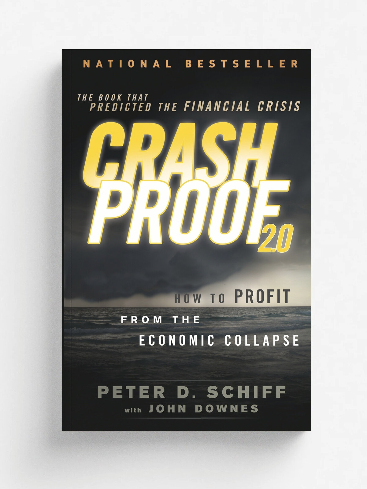 Crash Proof 2.0. How to Profit from the Economic Collapse