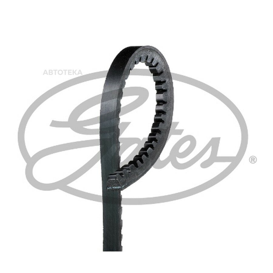 Ремень клиновой GATES 6466MC 13x900 KiaFord Nissan GATES 6466MC