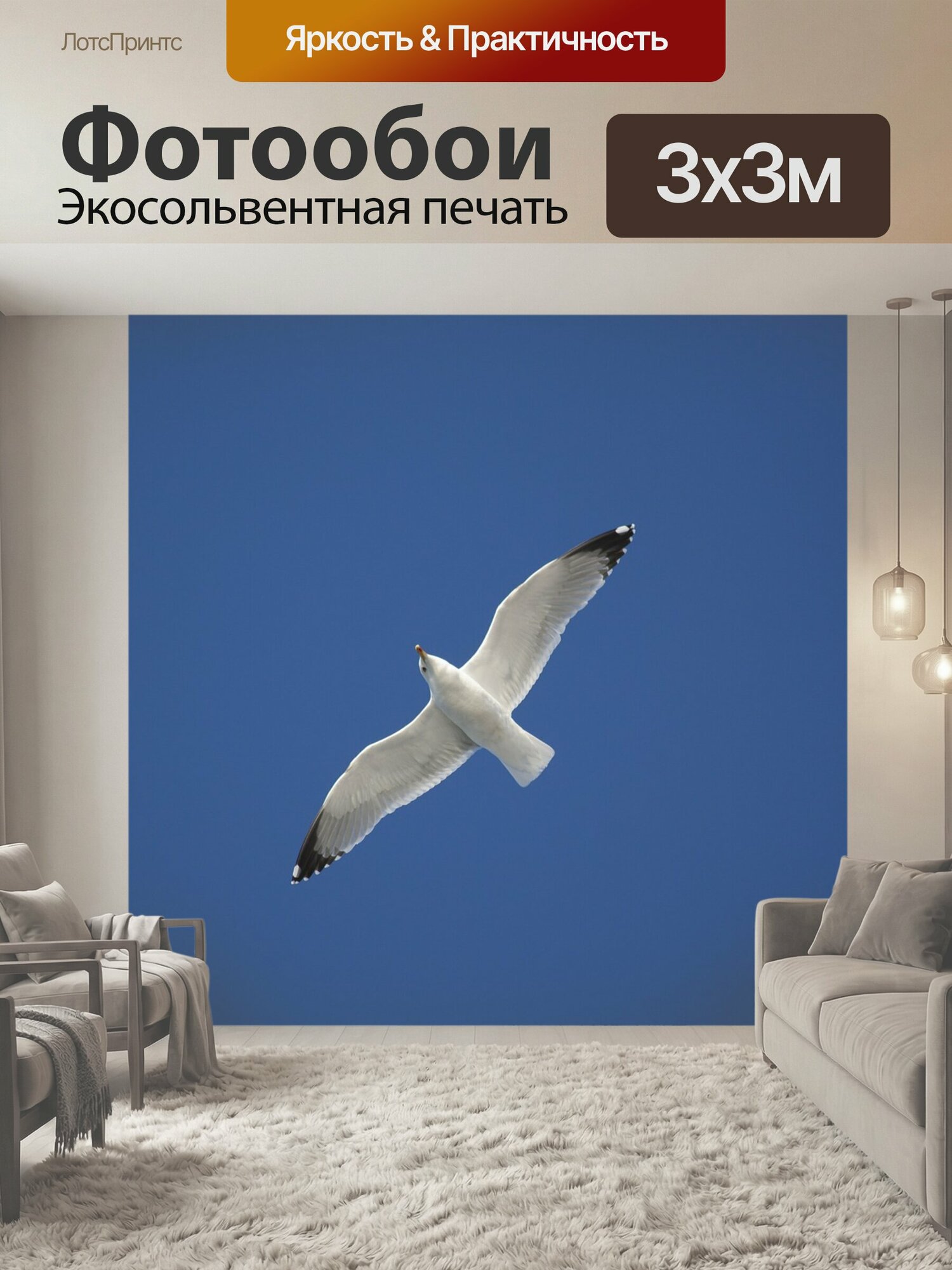 Фотообои "Чайка, aridae, зуек как" 300x300 см. экосольвентная печать