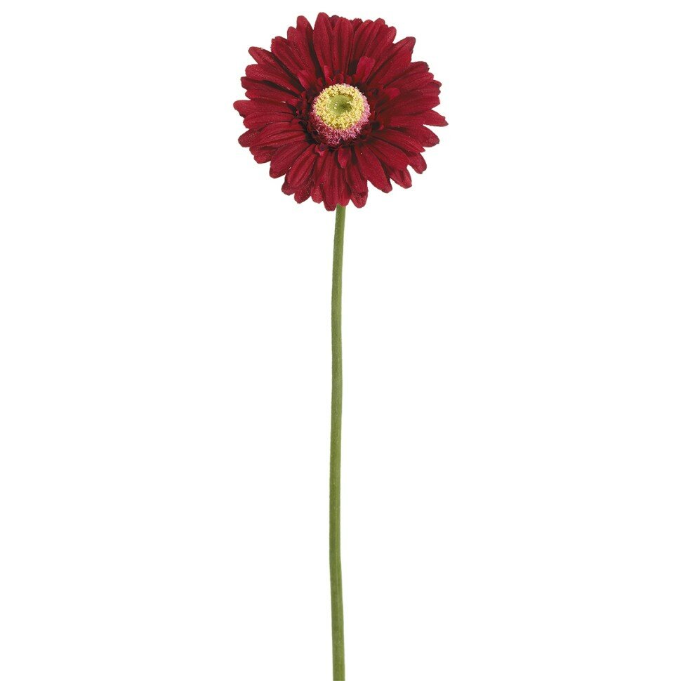 Fiebiger Floristik 212624-566 Цветок декоративный "Гербера", 57 см