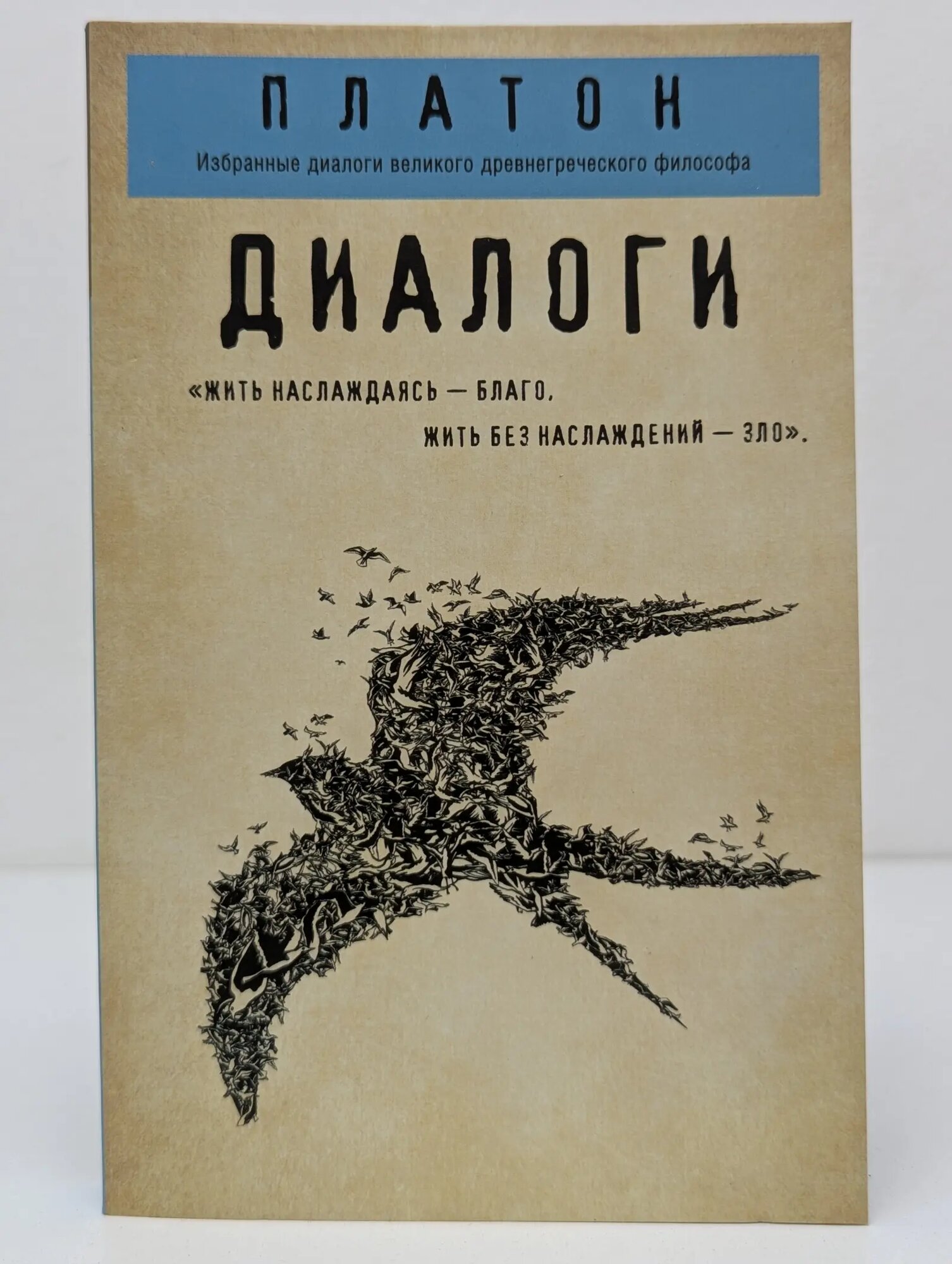 Философия в кармане. Платон. Диалоги Платон 2022