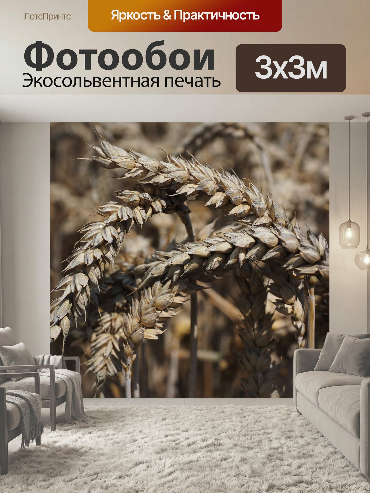 Фотообои "Пшеничный колос, пшеница, шип" 300x300 см. экосольвентная печать