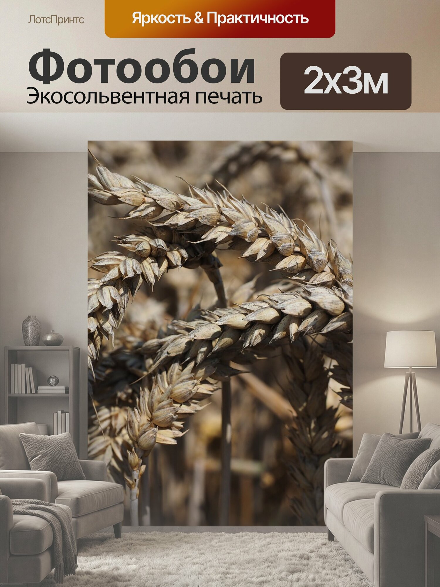 Фотообои "Пшеничный колос, пшеница, шип" 200x300 см. экосольвентная печать