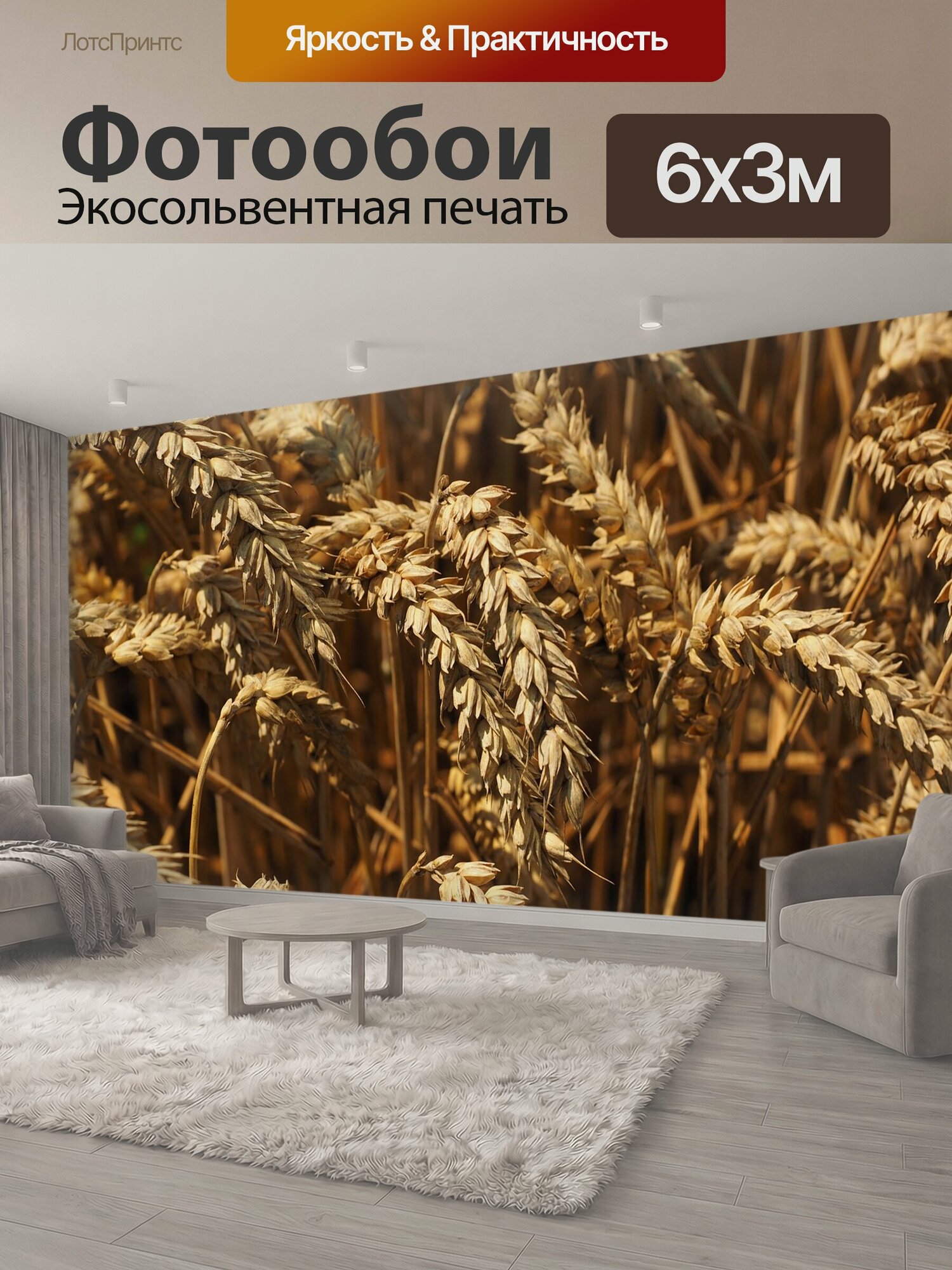 Фотообои "Пшеничный колос, пшеница, шип" 600x300 см. экосольвентная печать