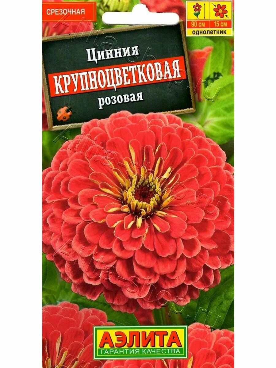 Семена "Цинния Крупноцветковая розовая"