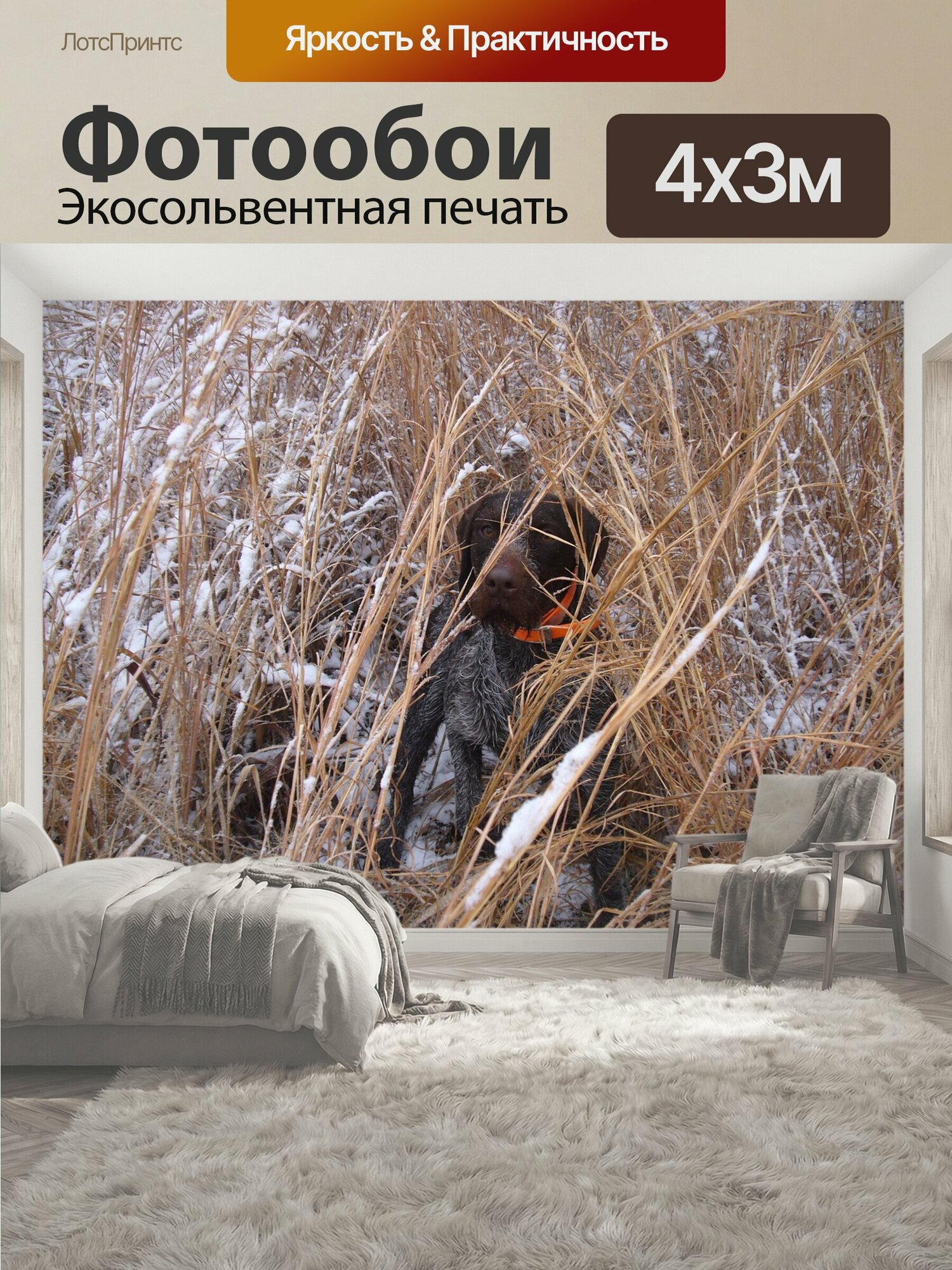 Фотообои "Собака, охота, точка" 400x300 см. экосольвентная печать