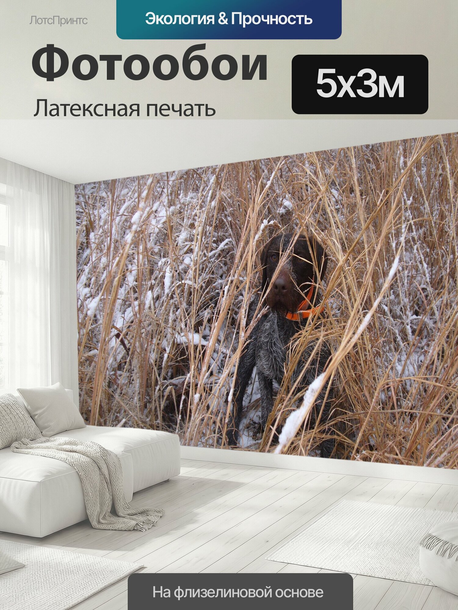 Фотообои моющиеся ударопрочные "Собака, охота, точка" 500x300 см. латексная печать