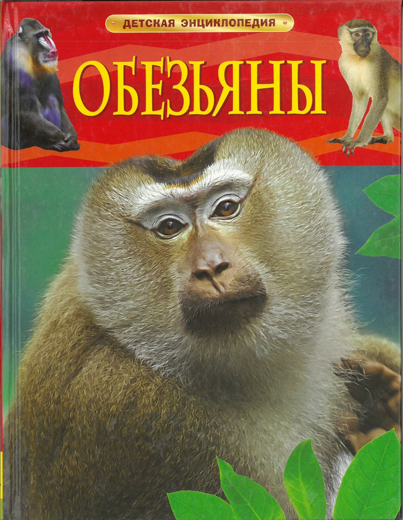 Обезьяны. Детская энциклопедия. Научно-популярное издание. Для детей до трех лет./Клюшник Л. В.