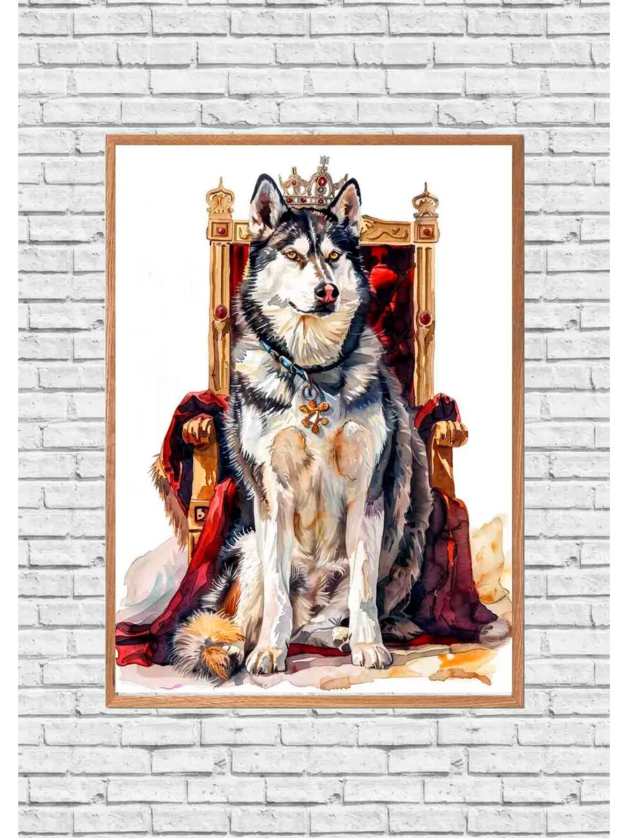 Сибирский хаски, Английский король 0, Плакат 30x42см
