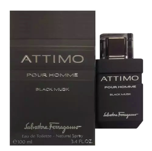 Salvatore Ferragamo Attimo Black Musk 100 мл - мужская туалетная вода / Аттимо Блэк Муск