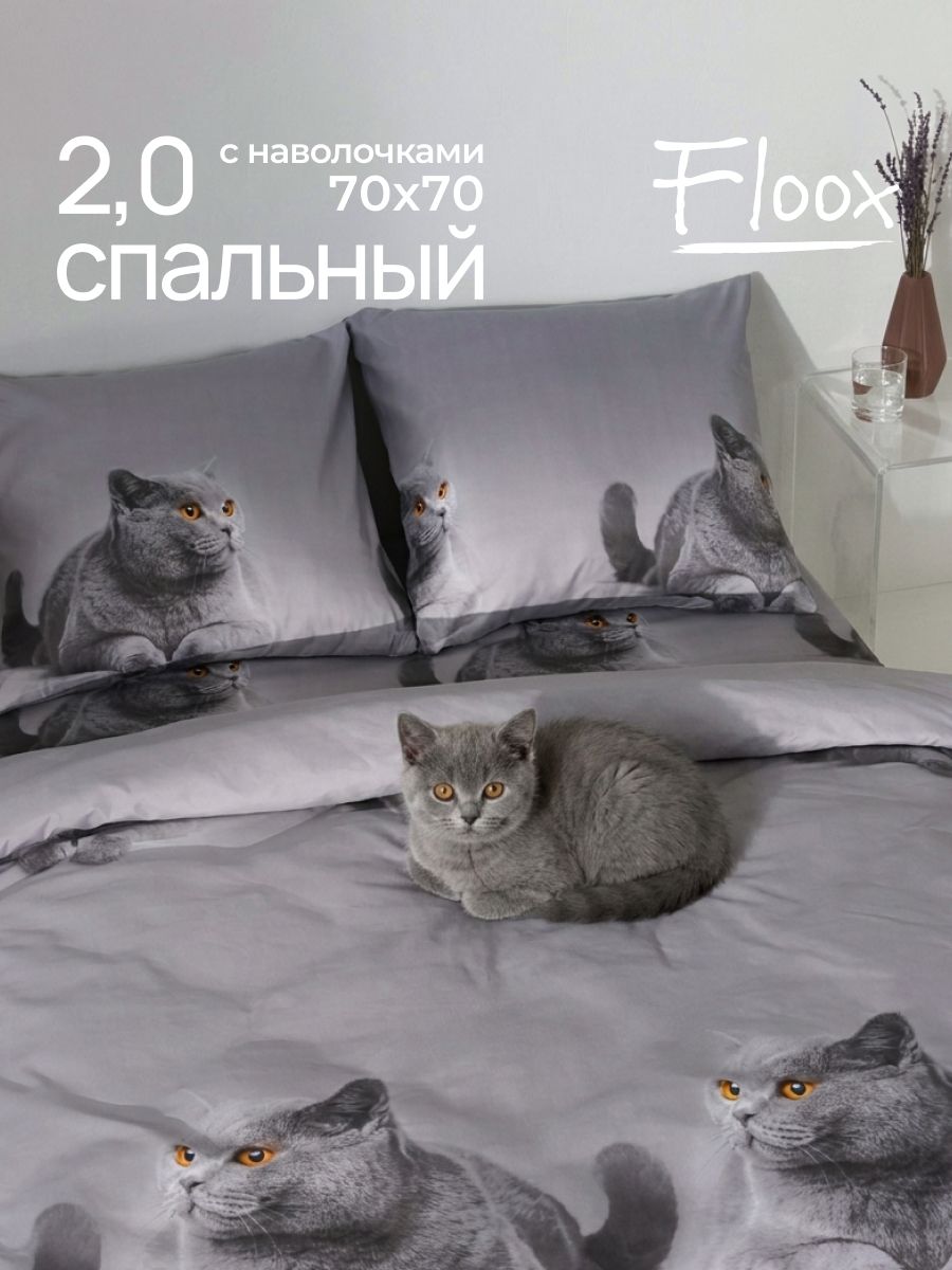 Floox, Постельное белье 2 спальное, полисатин, нав. 70х70, Британский кот