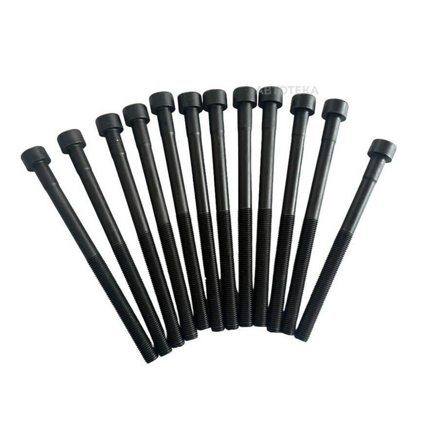 Комплект болтов ГБЦ ABSEL SY019002K