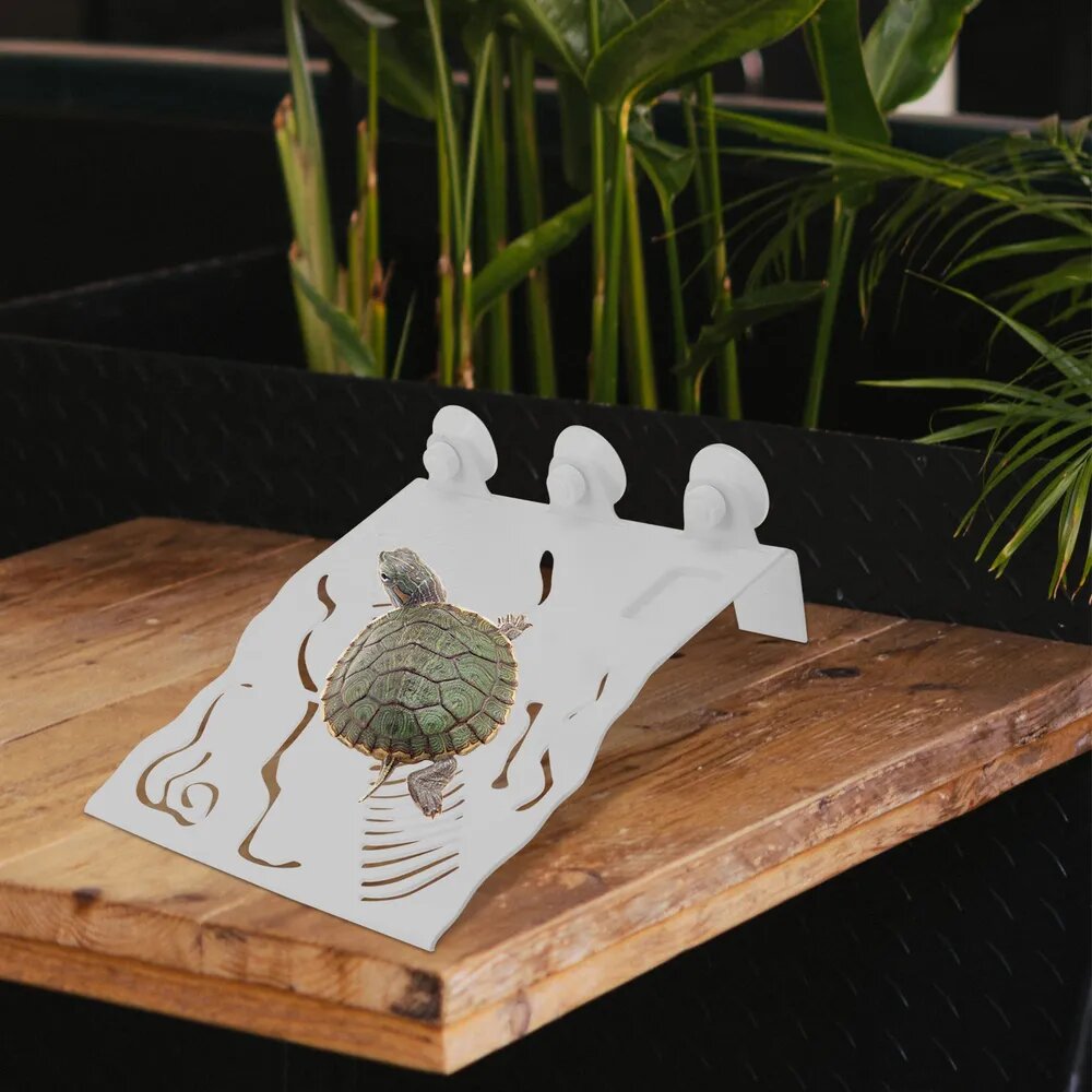 Белая терраса из пластика для черепах с креплением-присоской