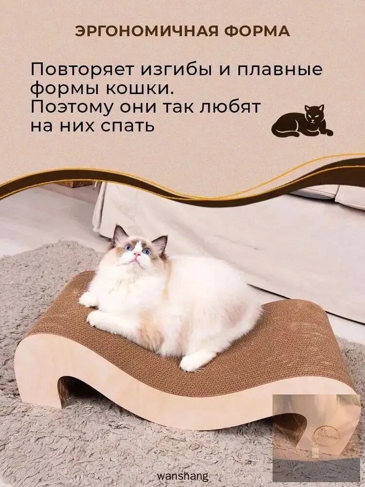 Когтеточка — фото 1