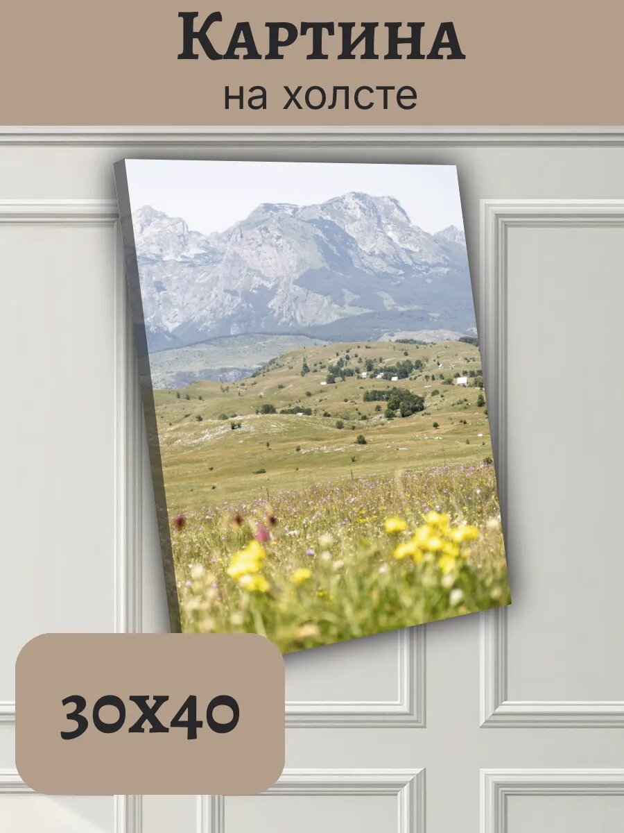 Картина Черногория Montenegro 30x40 альпийский горный пейзаж