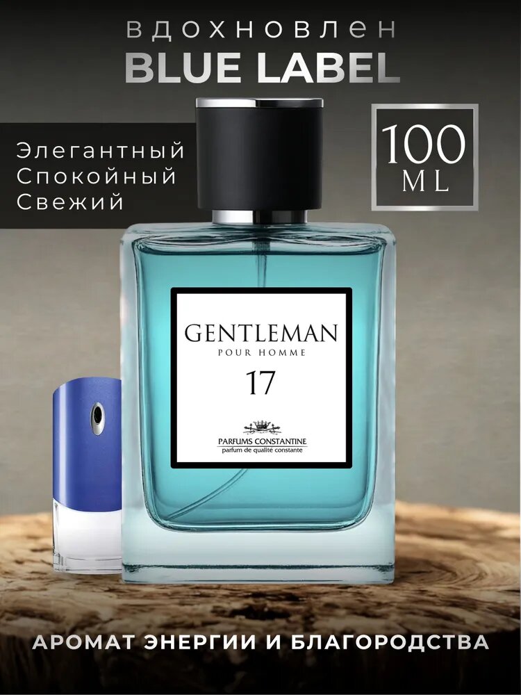 Духи мужские стойкие GENTLEMAN 17 восточные, древесные 100 мл