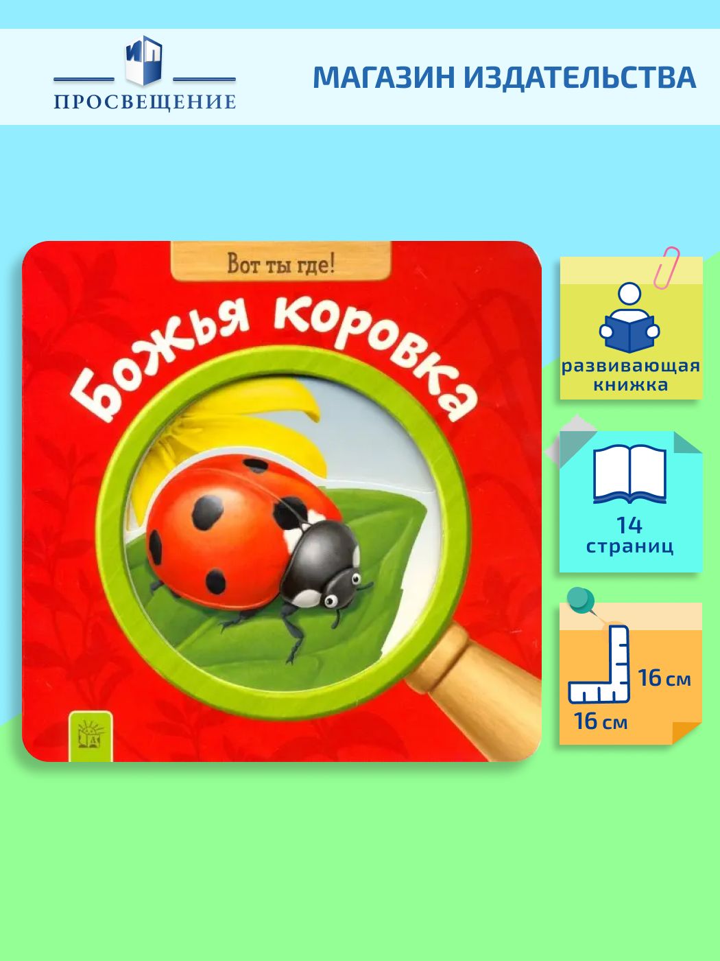 Вот ты где! Божья коровка