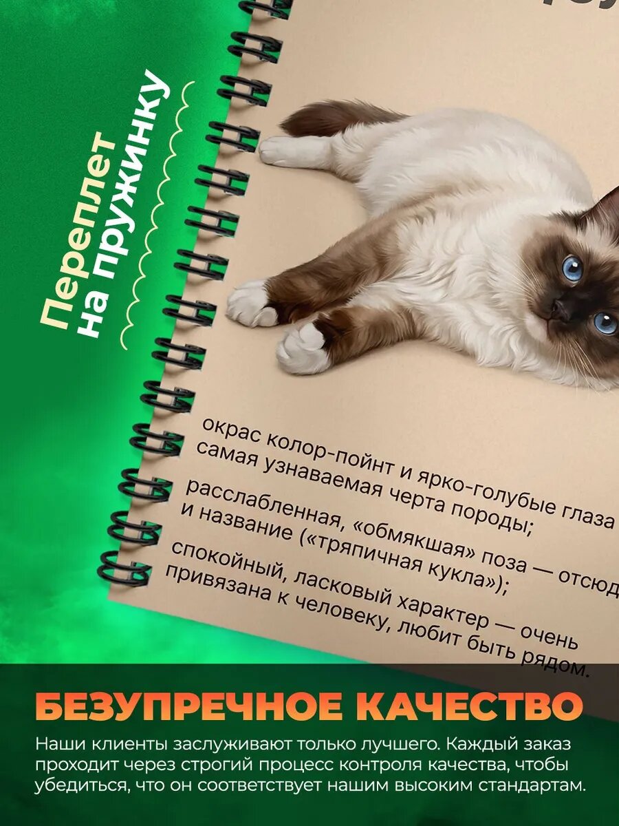 Тетрадь - А5 - Кошка - Рэгдолл — фото 1