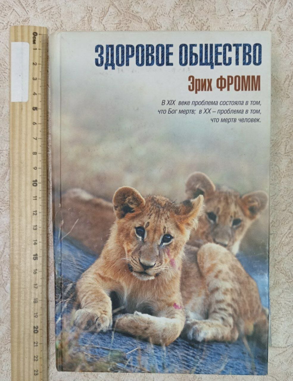 Здоровое общество