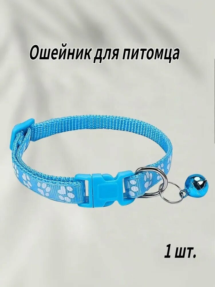 Ошейник