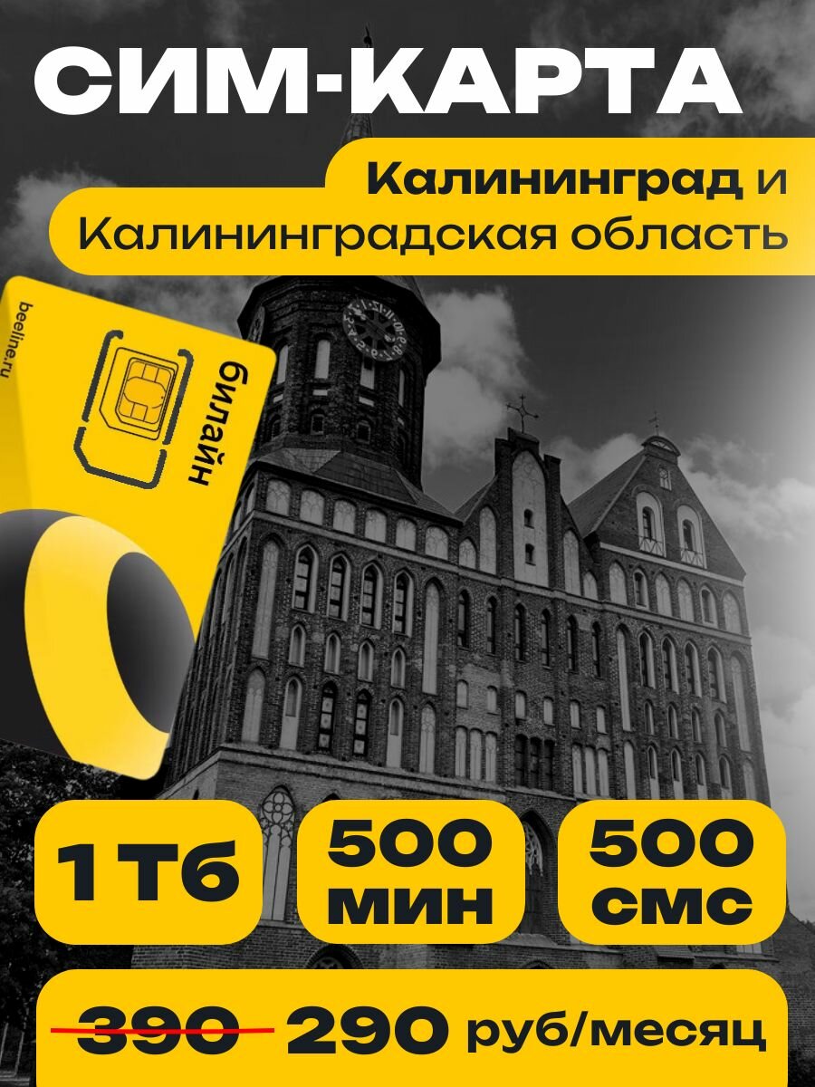Сим-карта Билайн тариф Эксклюзивный Калининградская область 1024 Гб + 500 минут за 290 руб.