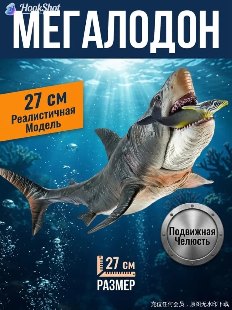 Мегалодон Акула морские обитатели