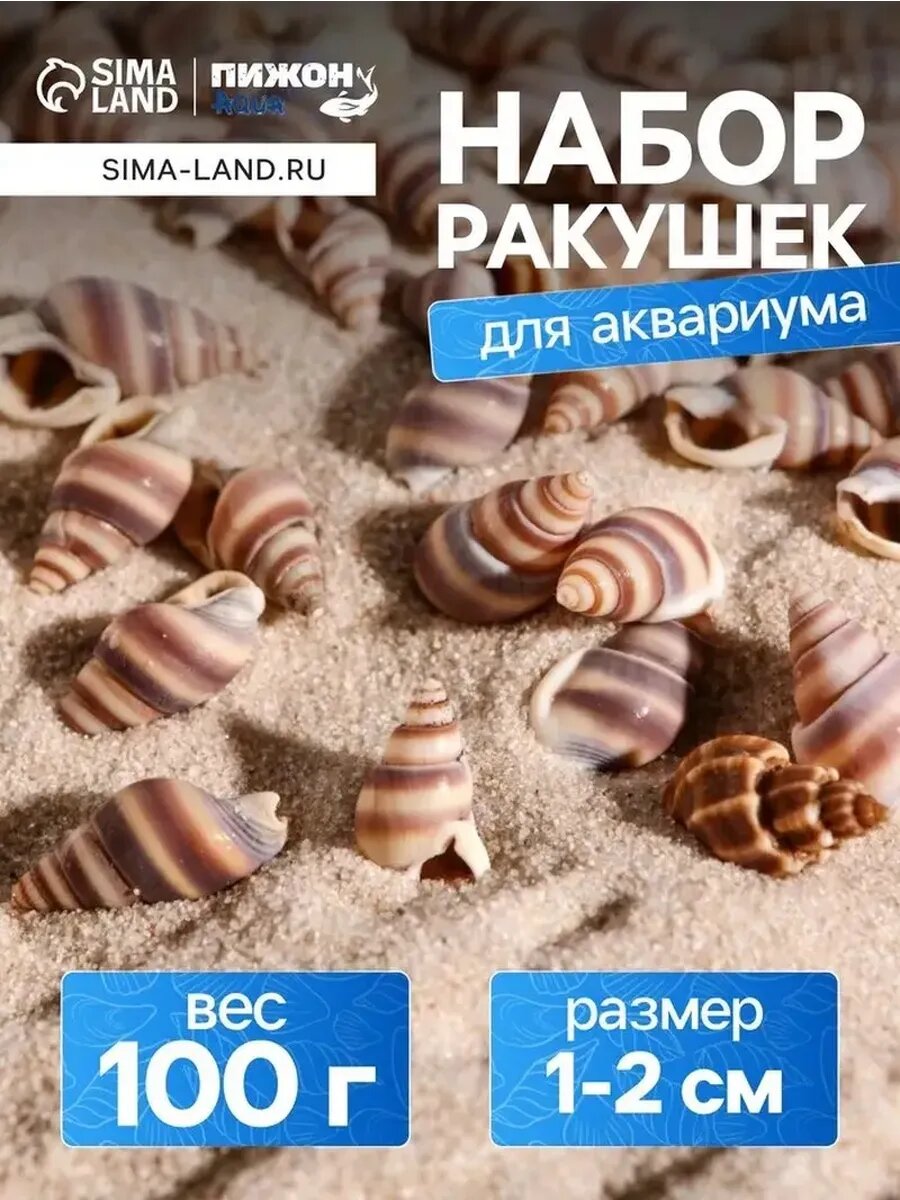 Эстетичный набор ракушек для творчества