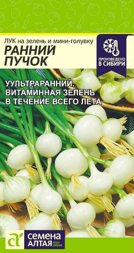 Семена "Лук на зелень и мини-головку , Ранний Пучок", лук на зелень семена лука мини-головка