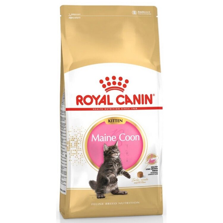 Royal Canin Breed cat Kitten Maine Coon / Сухой корм Роял Канин для Котят породы Мэйн Кун в возрасте до 15 месяцев фас. 10 кг
