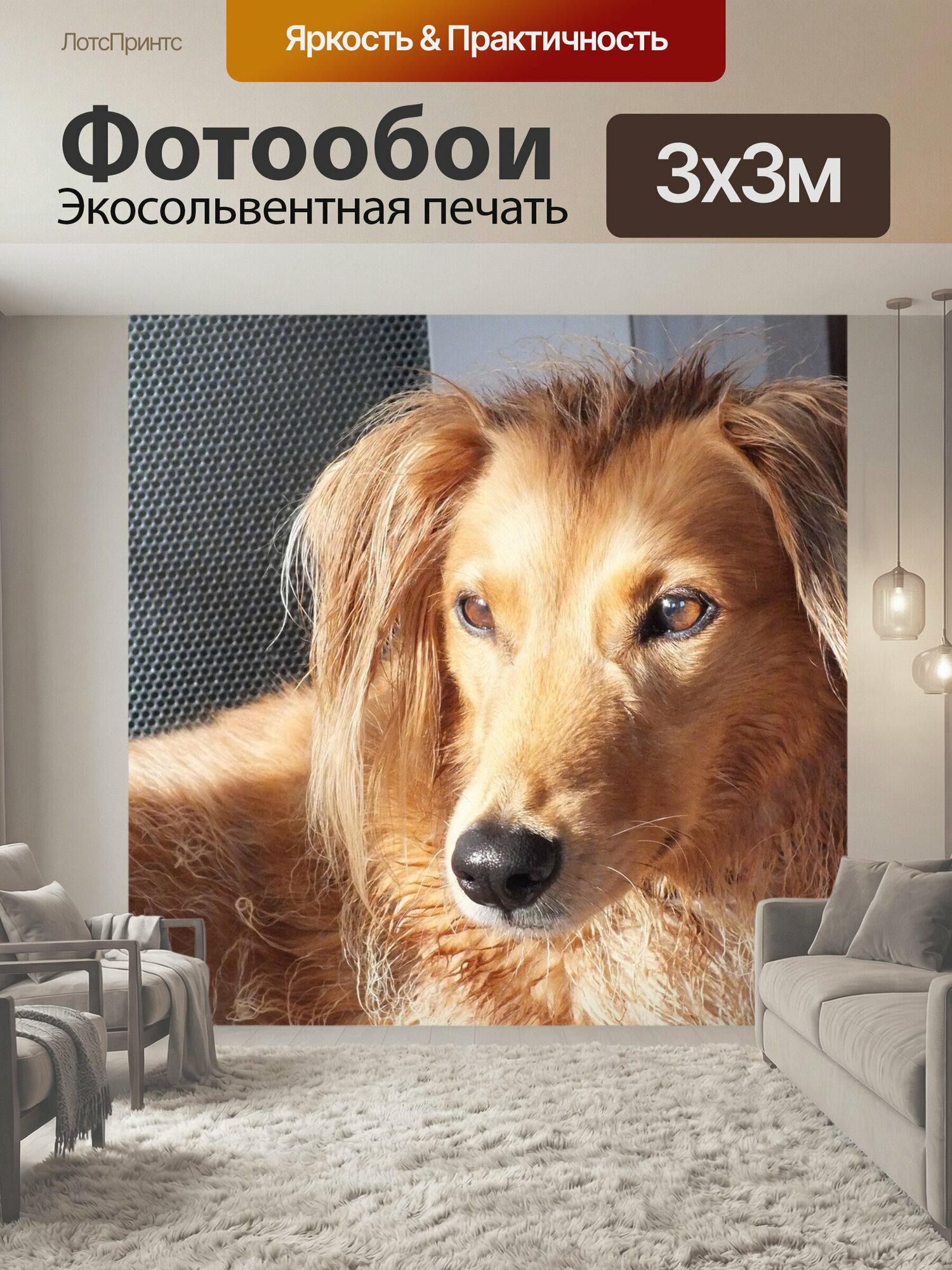 Фотообои "Собаки, гибрида, салюки" 300x300 см. экосольвентная печать