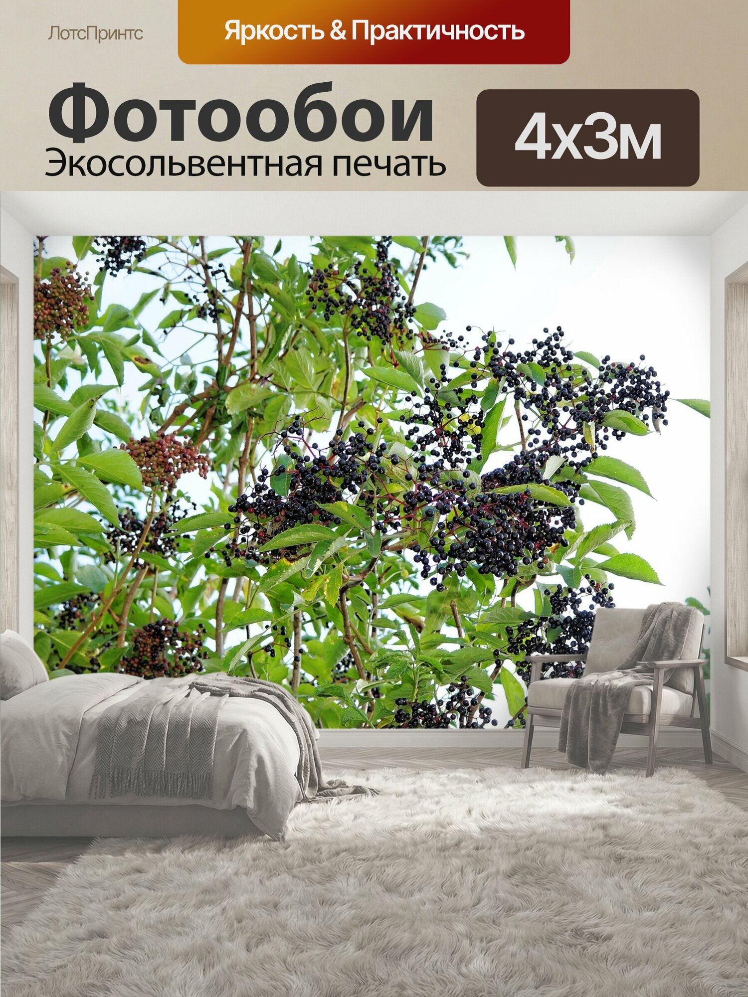 Фотообои "Бузина, черный старейшина, сирень" 400x300 см. экосольвентная печать