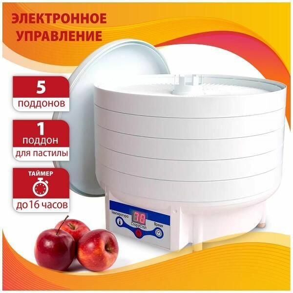 Сушилка для овощей и фруктов/ Дегидратор БелОМО Аsaloda 8361-01, 500 Вт