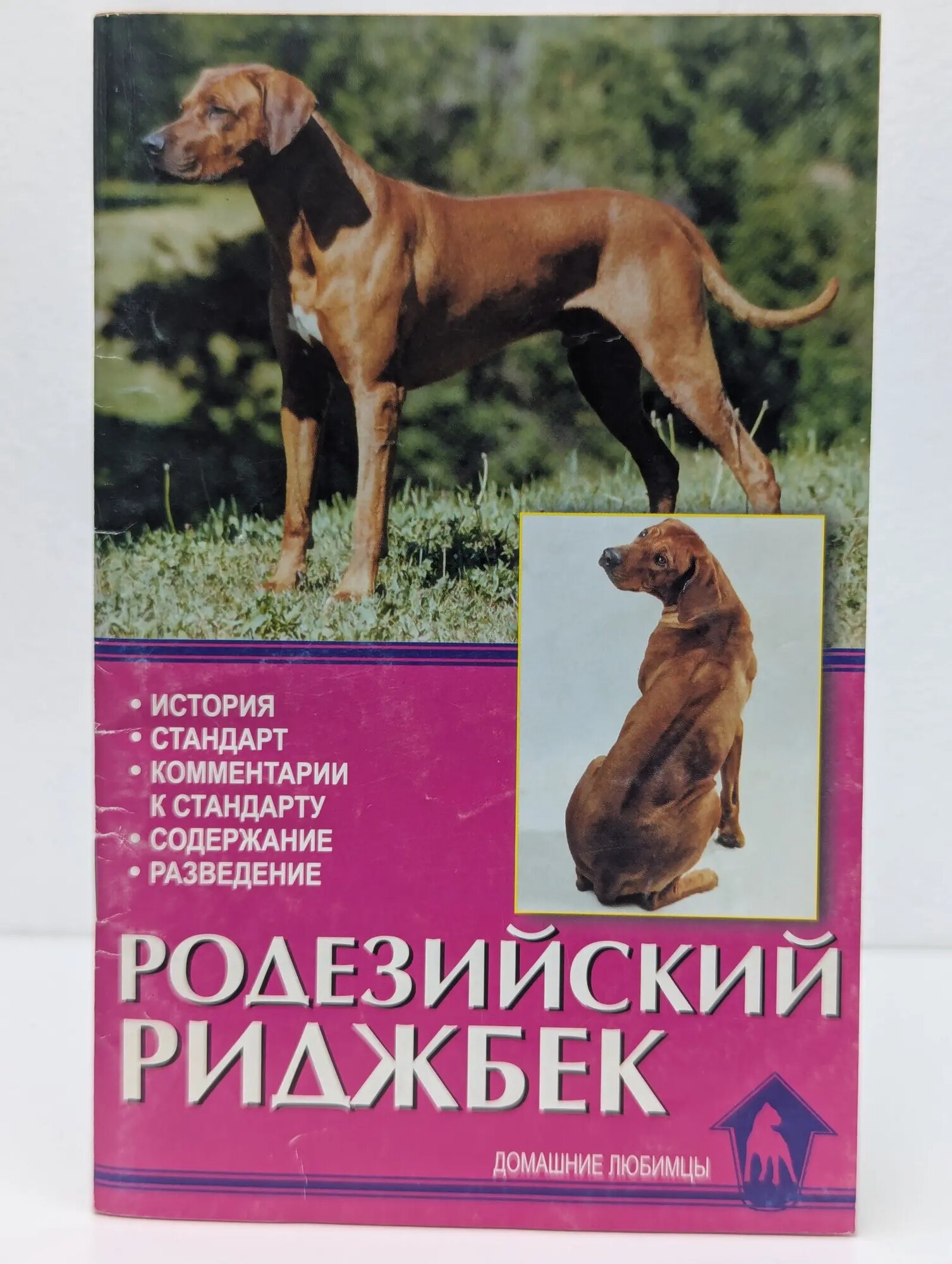 Домашние любимцы. Родезийский риджбек Карлсон Стиг 2008