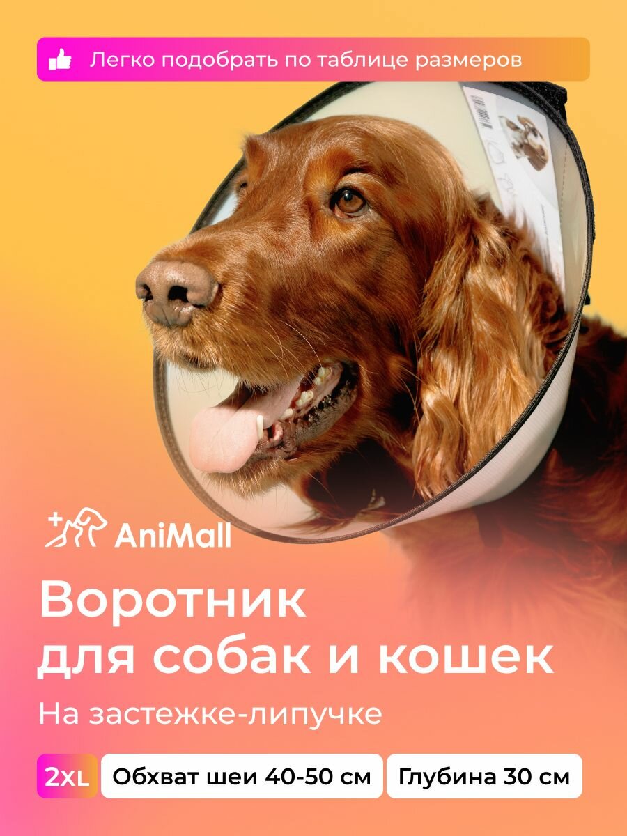 Воротник защитный ветеринарный для собак и кошек № 30 см, на липучке для крупных пород / AniMall на липучке 30 см для собак для кошек крупные породы