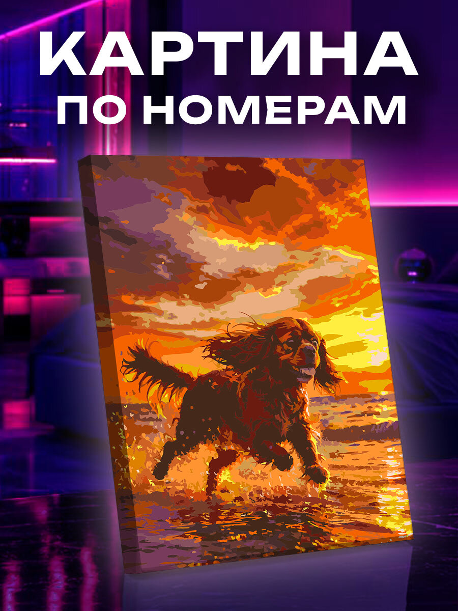Картина по номерам Рубиновый спаниель у заката